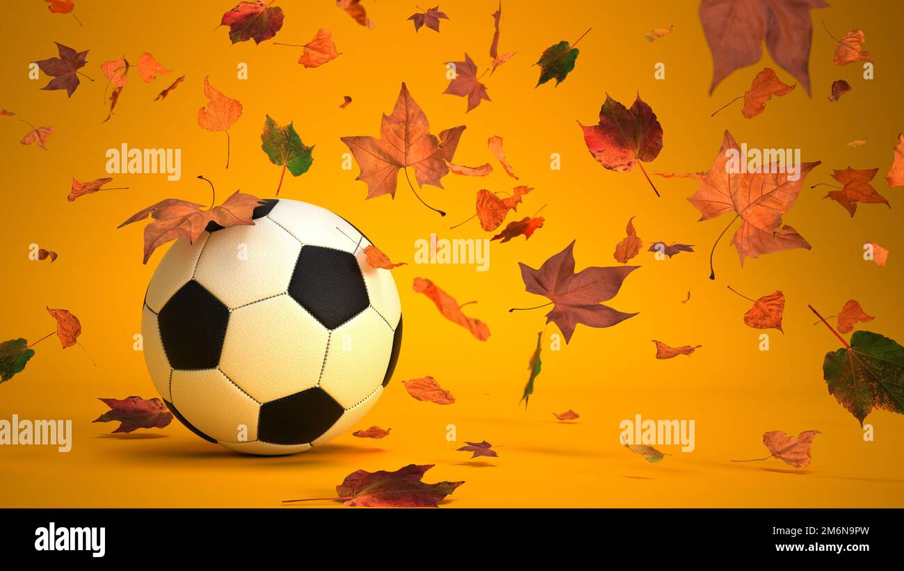 Football in autumn Stock Photo - Alamy