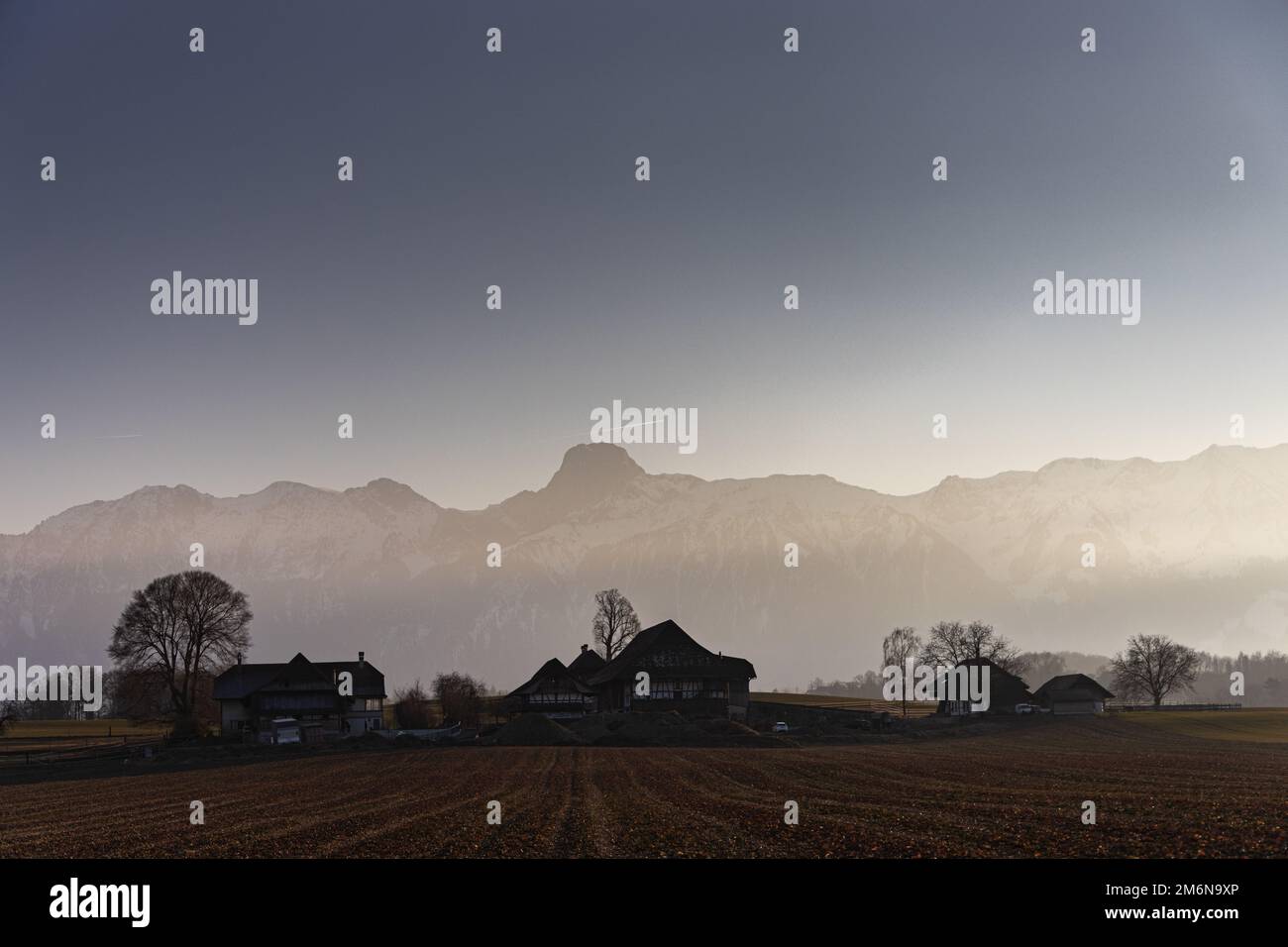 A leaf less tree on a green field next to a farm foggy Background Stock ...
