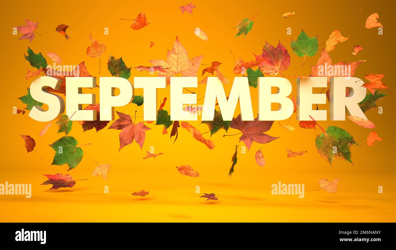 September maple hi-res stock photography and images - Alamy