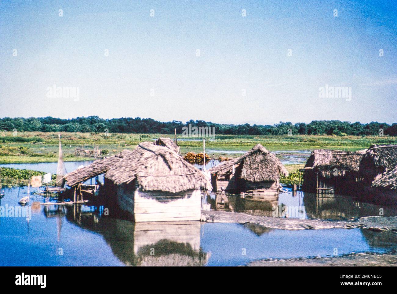 Thatched houses in delta of Rio Magdalena river, Colombia, South ...