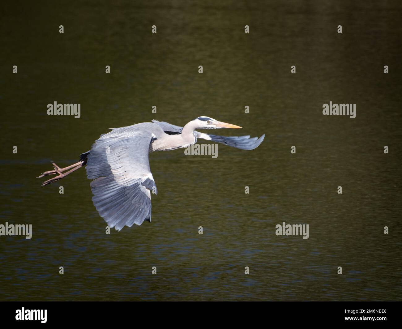 Flight fly ocean hi-res stock photography and images - Alamy