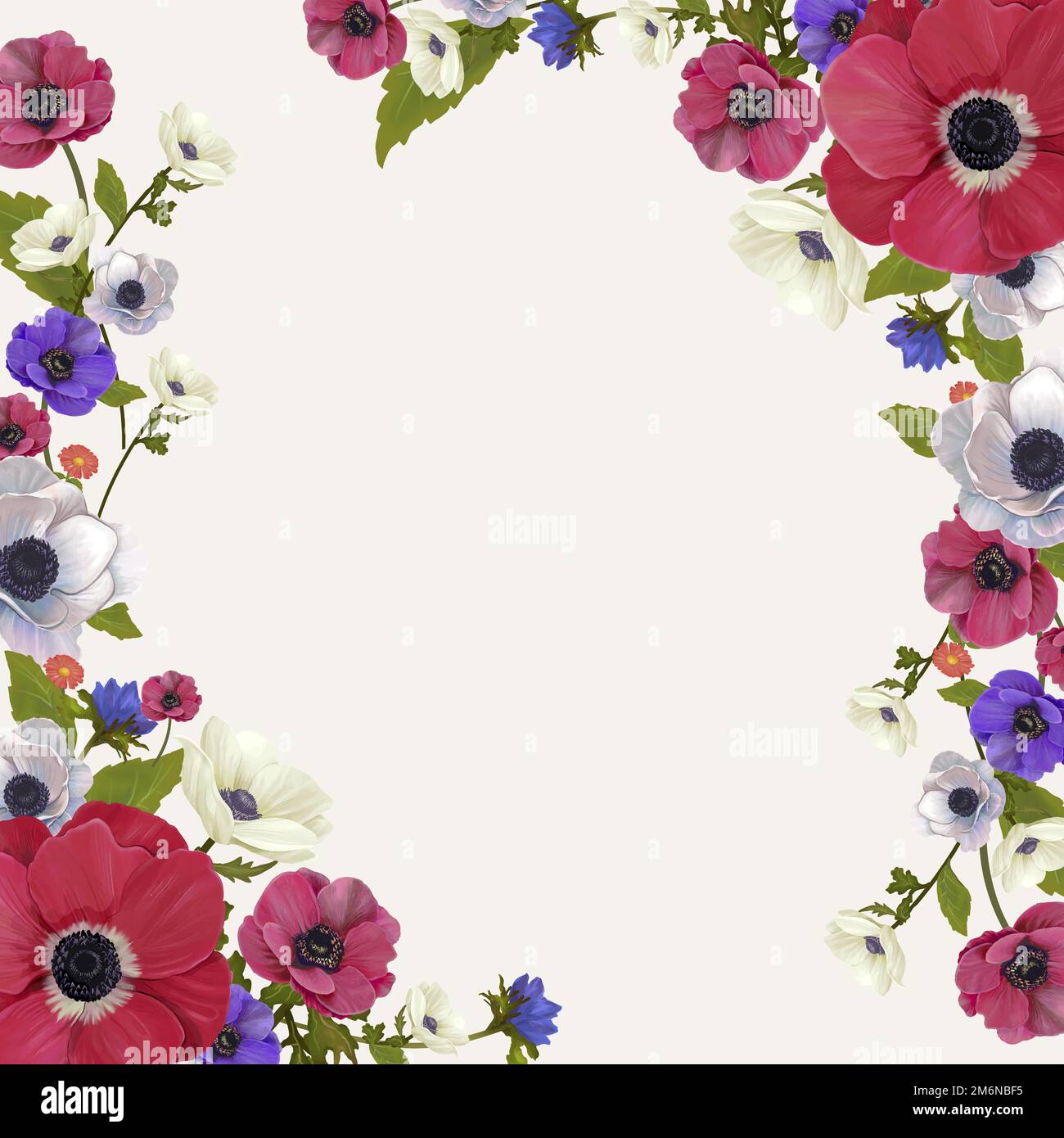 Blank floral frame design vector Stock Vector Image & Art - Alamy
