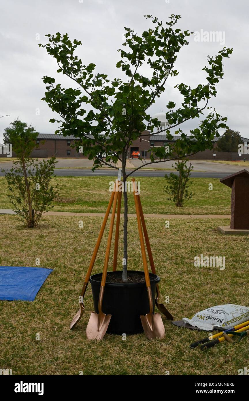 30 feet tall wings hi-res stock photography and images - Alamy