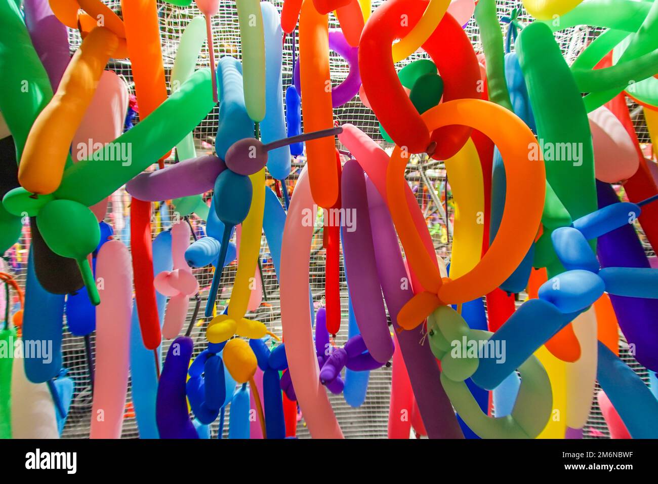 Colorful elongated balloons image Stock Photo - Alamy