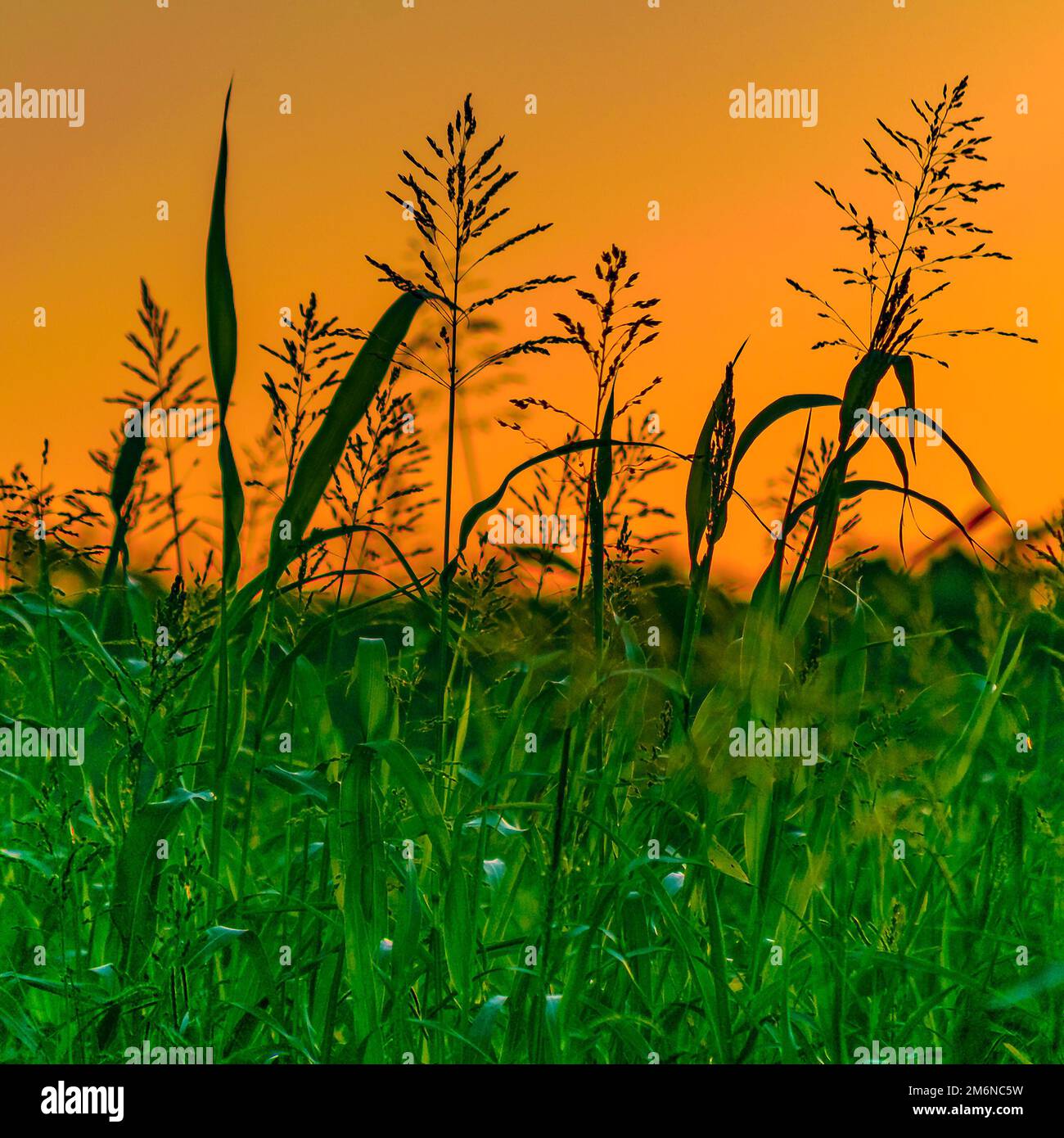 Contrast landscape hi-res stock photography and images - Alamy