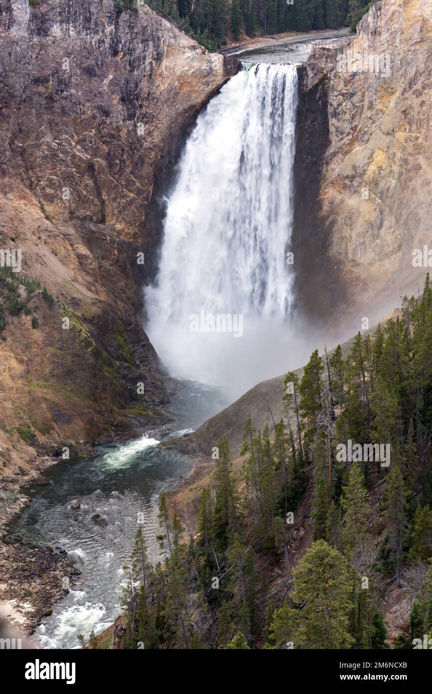 Lower Yellowstone Falls in Yellowstone National Park Stock Photo - Alamy