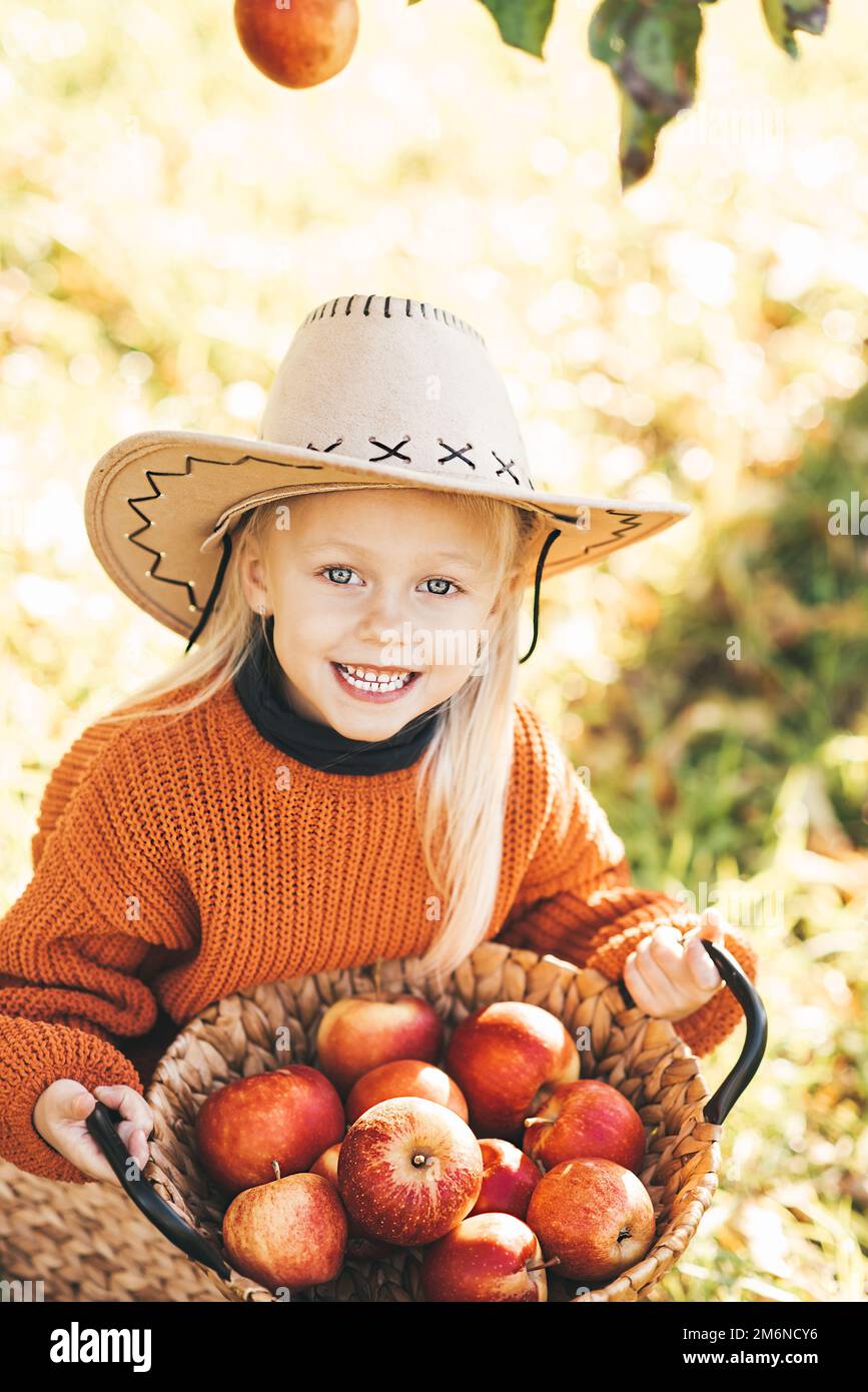 Child picking apples on farm in autumn. Little girl playing in tree ...