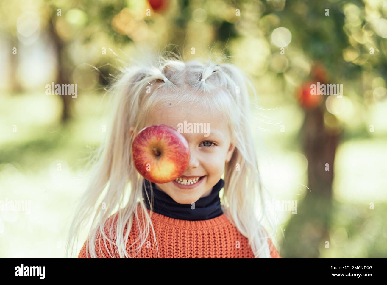 Child picking apples on farm in autumn. Little girl playing in tree ...