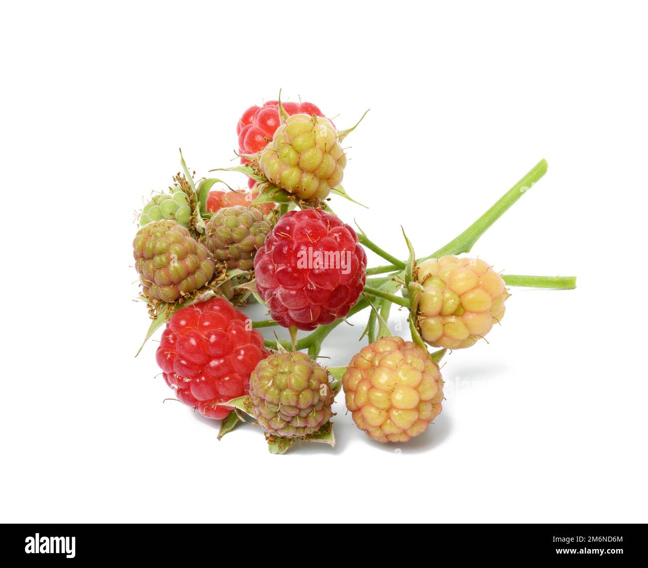 Stack of fresh red raspberries on white isolated background Stock Photo ...