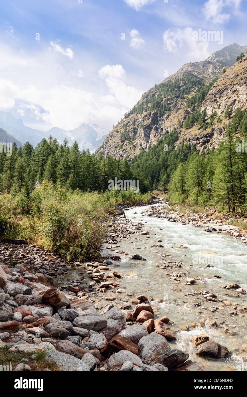 Beautiful view of the mountain river in the National park Gran Paradiso ...