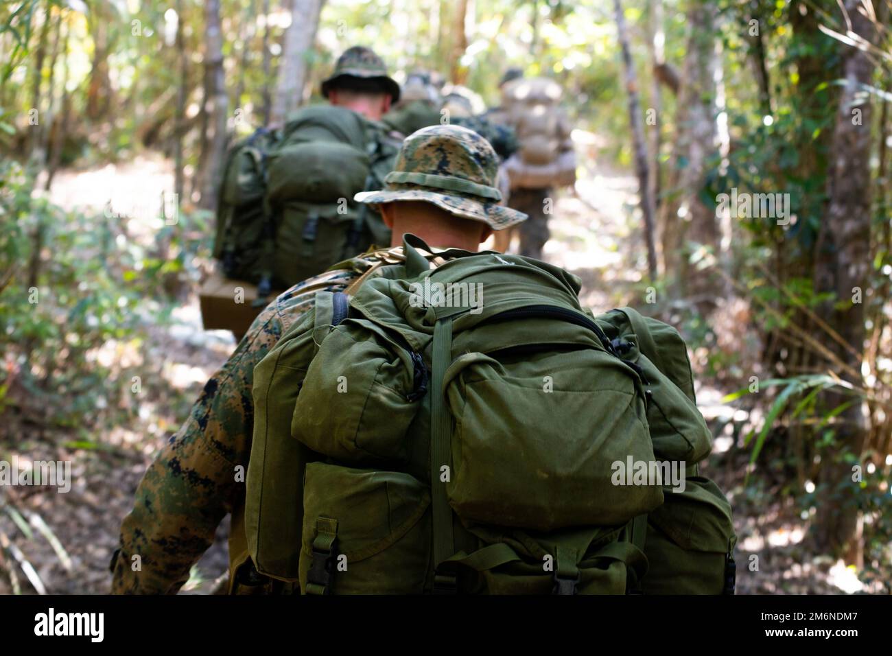 U.S. Marines with the 31st Marine Expeditionary Unit (MEU) hike to ...