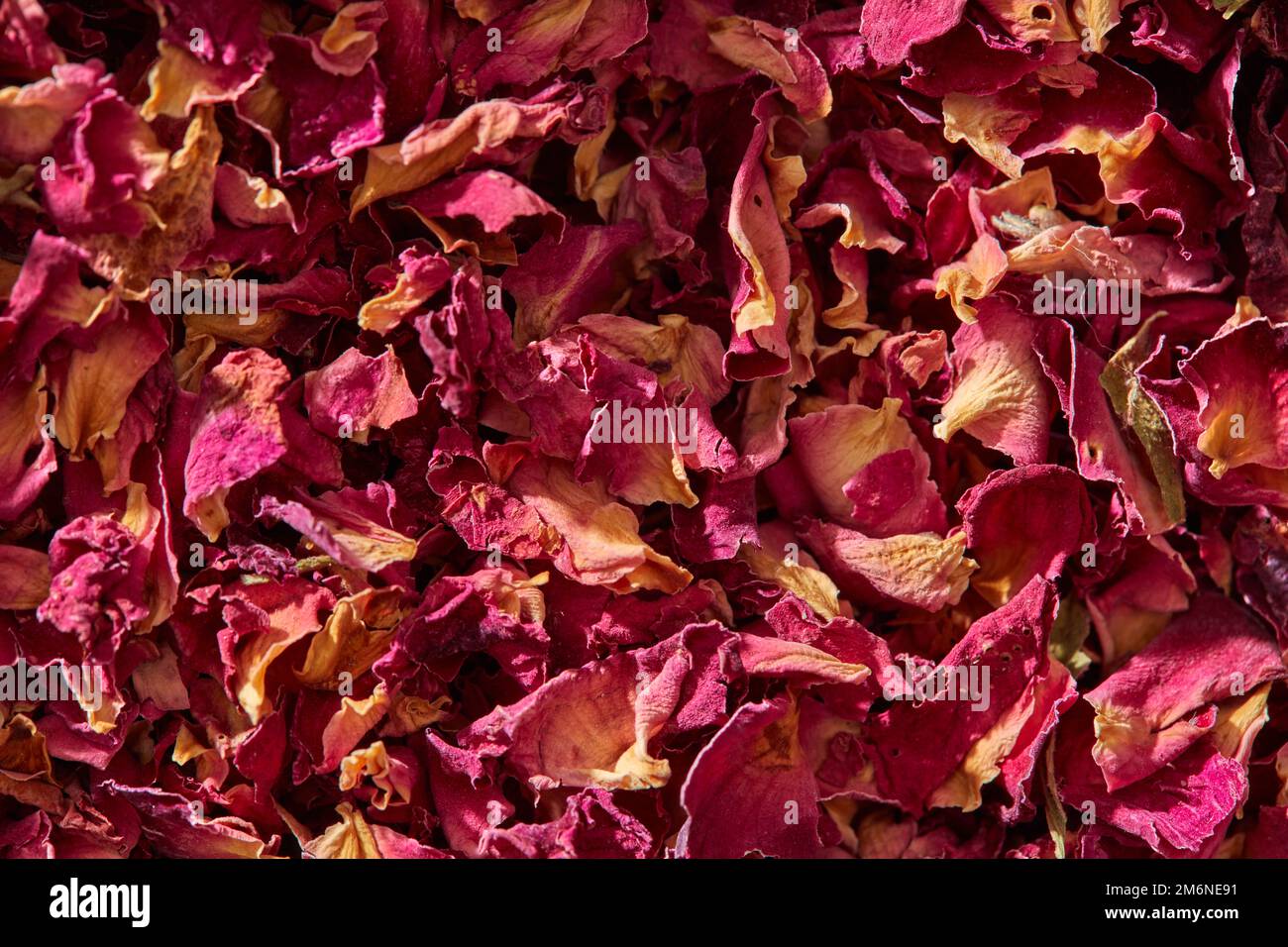 Dried natural pink rose hi-res stock photography and images - Alamy