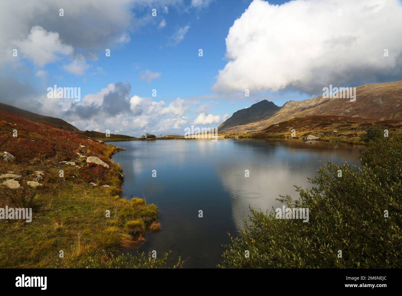 Tuscan-Emilian Apennines landscape with autumn blueberry plants Stock ...