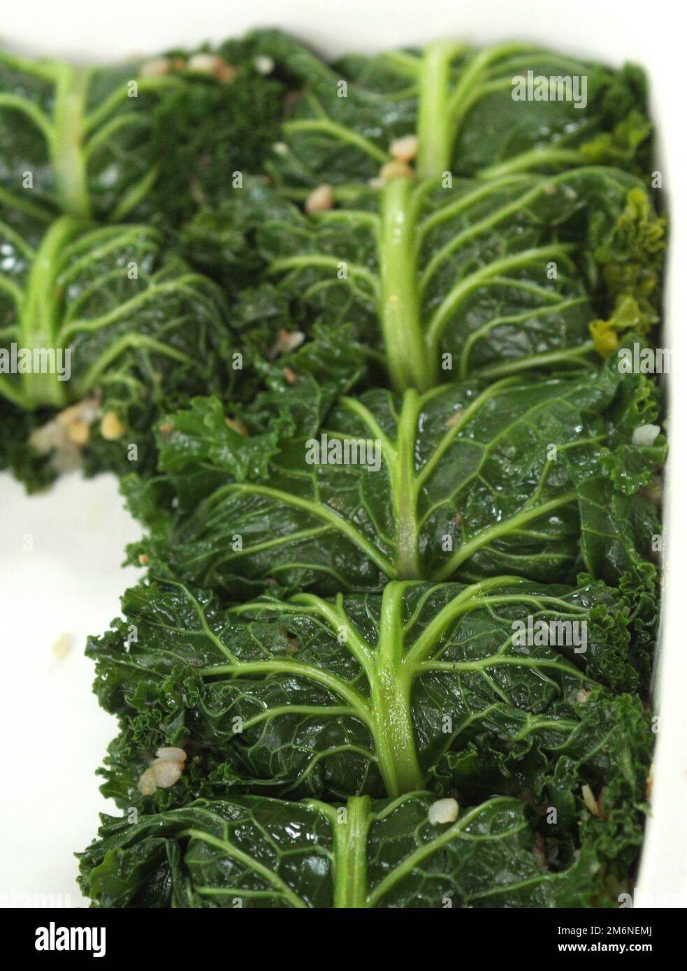 Meat stuffed kale leaves in white ceramic baking dish Stock Photo - Alamy