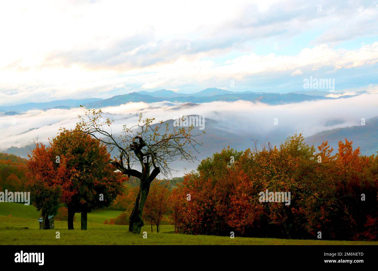 Tuscan-Emilian Apennines landscape with fog Stock Photo - Alamy