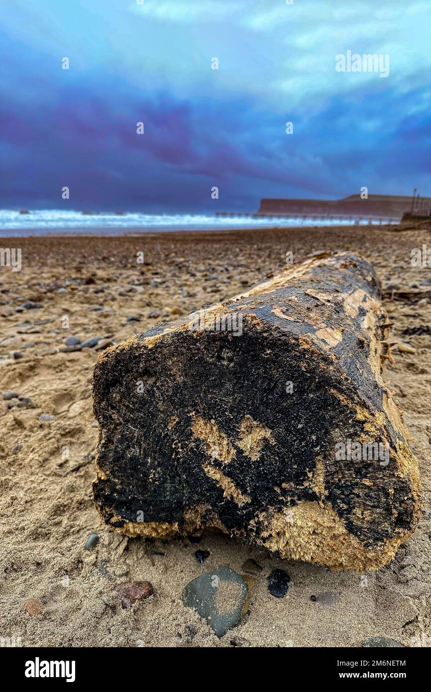 log washed up on the beach with saltburn pier and hunt cliff in ...