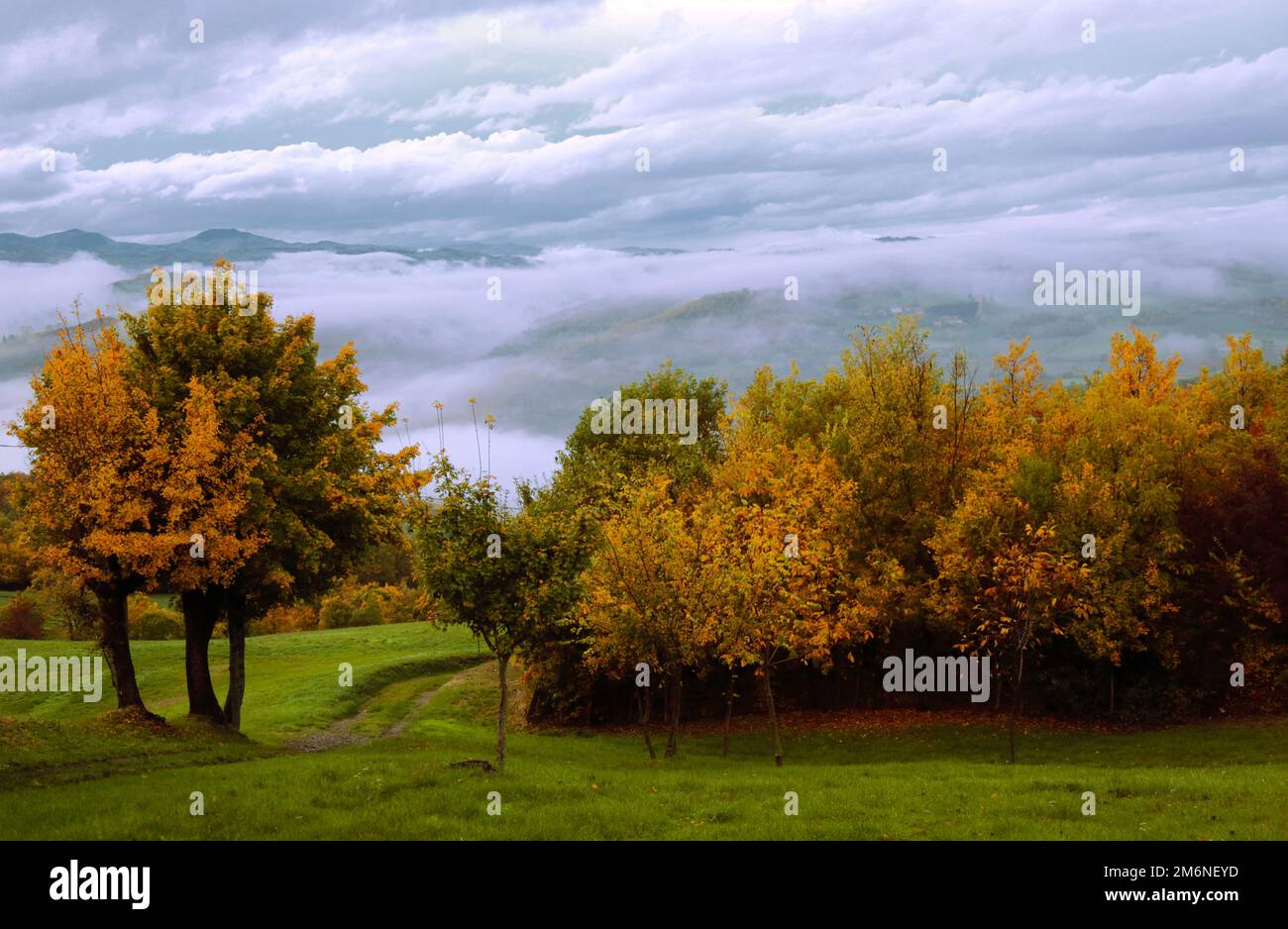 Tuscan-Emilian Apennines landscape with fog Stock Photo - Alamy