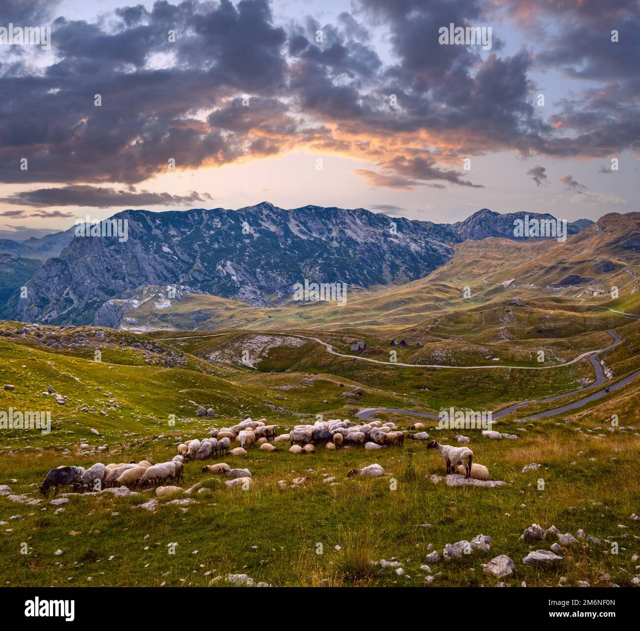 Summer mountain Durmitor National Park, Montenegro. Durmitor panoramic ...