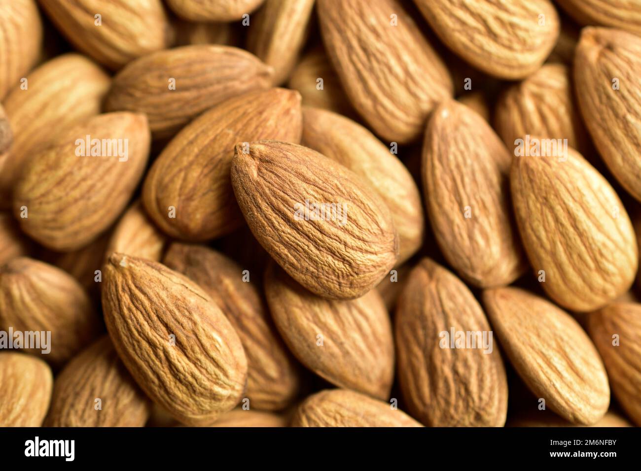 Macro stock image of almond Stock Photo - Alamy