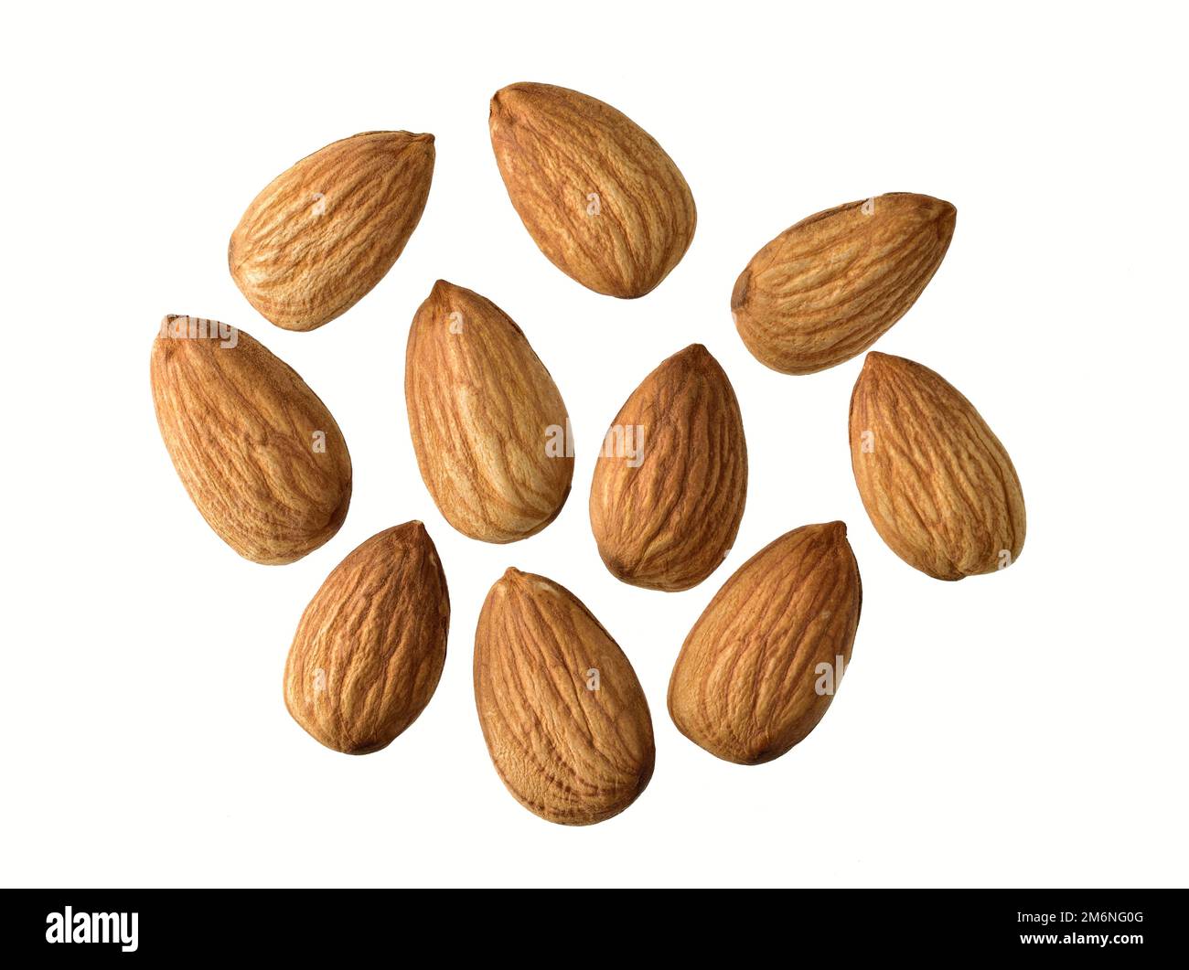 Closeup of almond on white background with clipping path Stock Photo ...