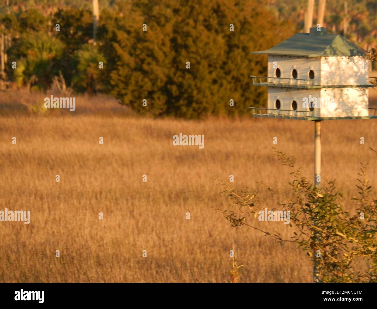 A small nest box in the field Stock Photo - Alamy
