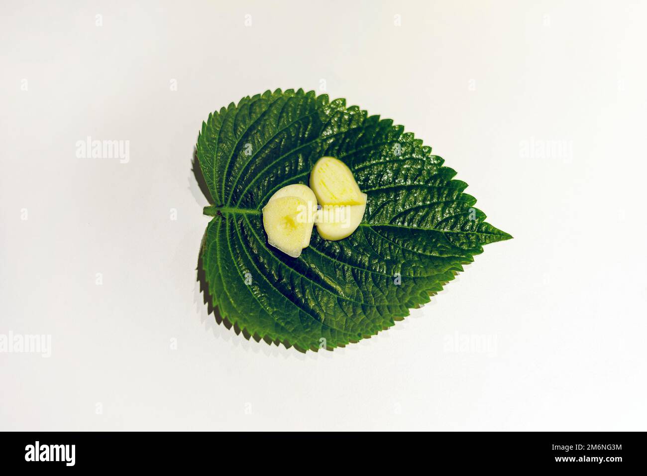 Sesame leaf hi-res stock photography and images - Alamy