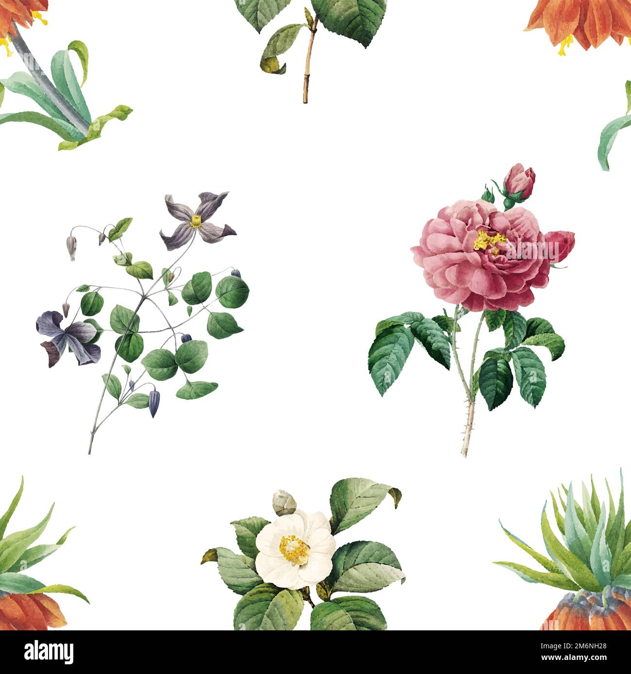 Hand drawn floral wallpaper vector Stock Vector Image & Art - Alamy
