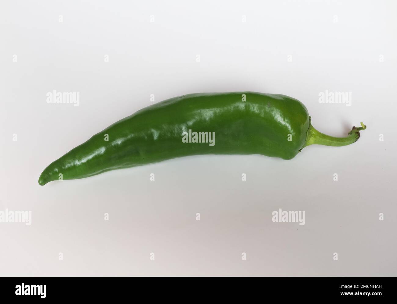 green peppers scientific name Capsicum aka bell peppers vegetables ...