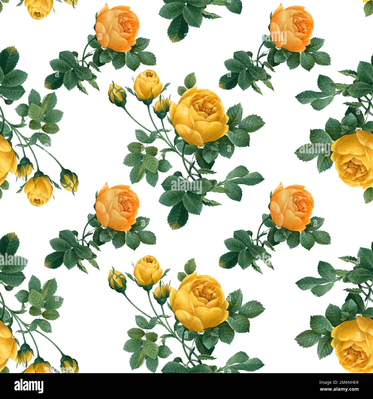 Vintage Yellow Rose Pattern