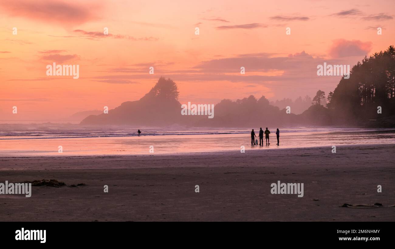 Tofino Vancouver Island Pacific rim coast, surfers with board during ...