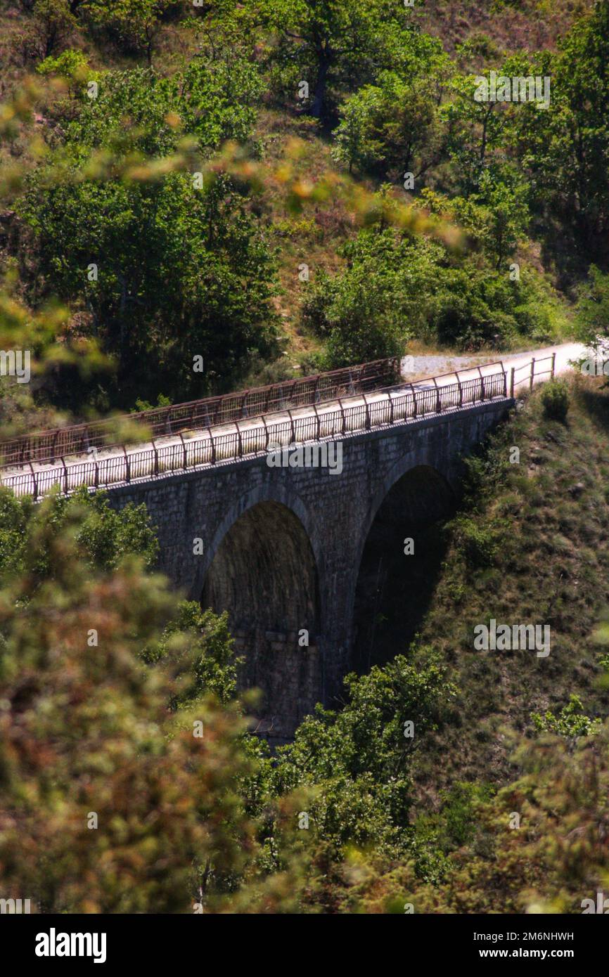 A vertical shot of the narrow bridge with arches surrounded by lush ...