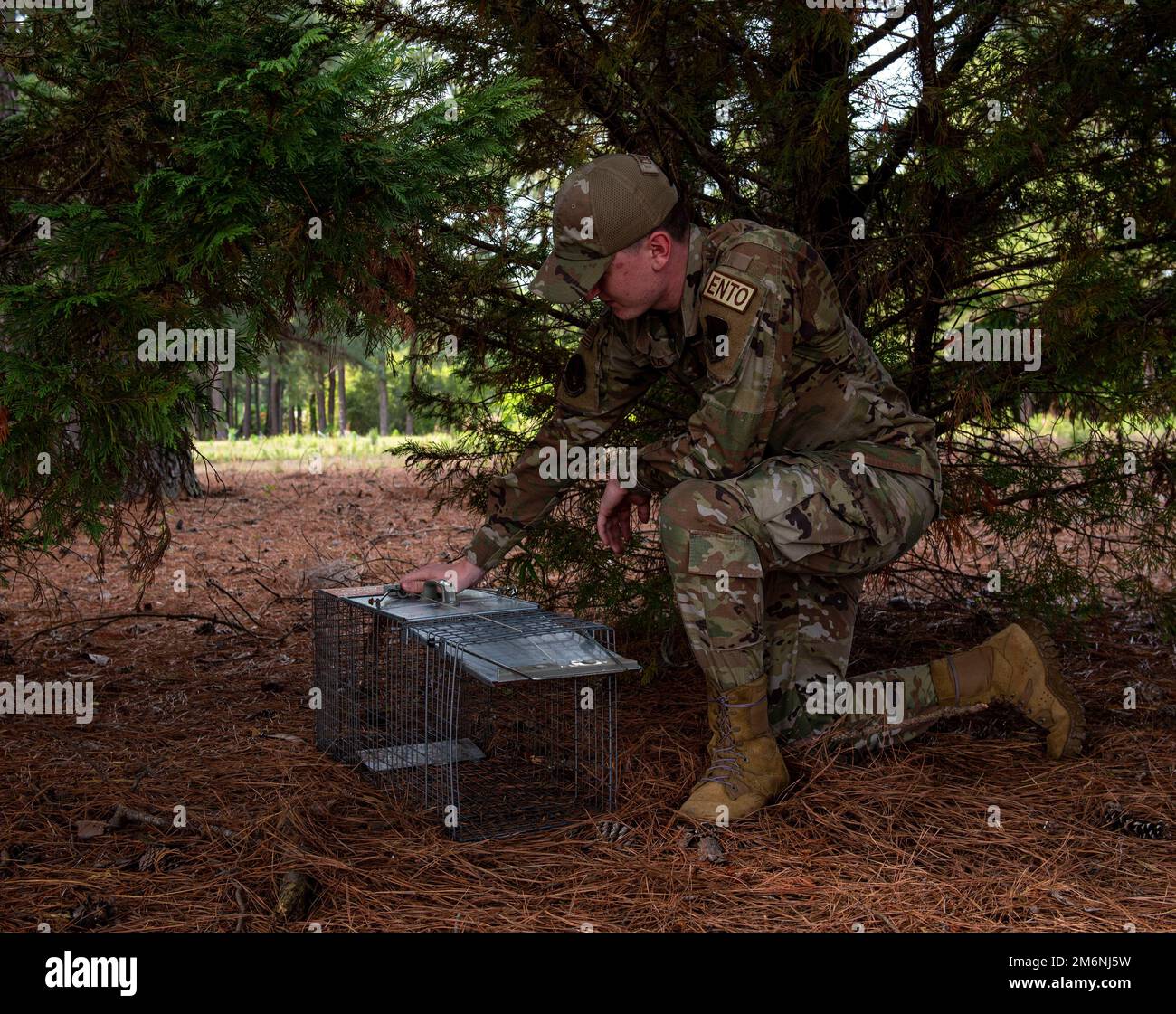 Airman 1st Class Jordan Collazo, 4th Civil Engineer Squadron pest ...