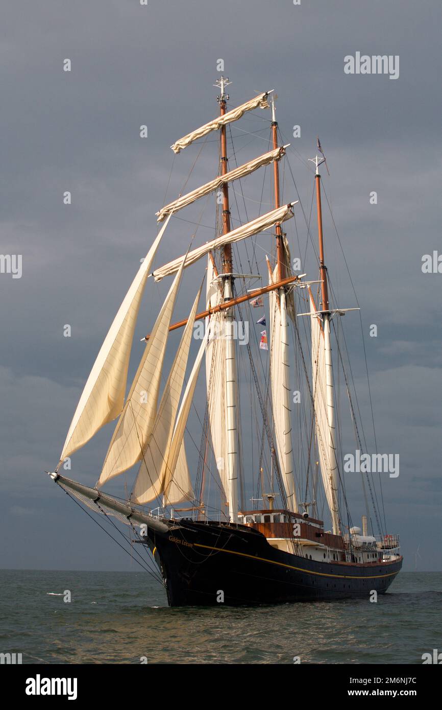 Dutch topsail schooner Gulden Leeuw, race start after Antwerp, 2010 ...