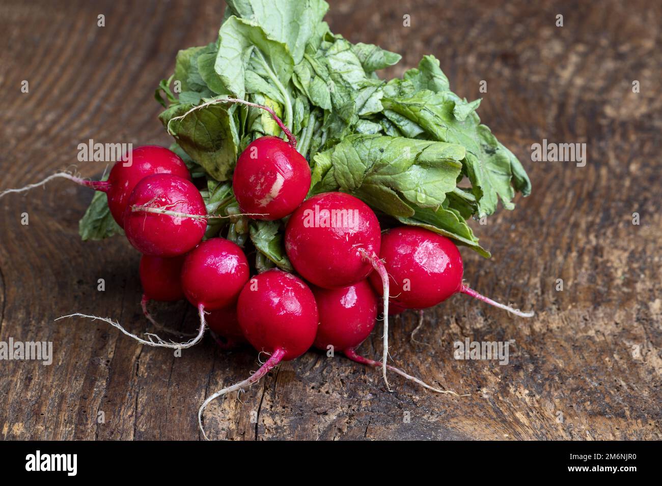 Red radishes on dark wood hi-res stock photography and images - Alamy