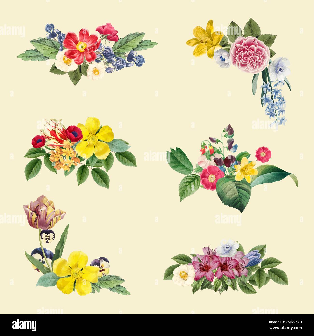 Colorful floral themed border set Stock Vector Image & Art - Alamy