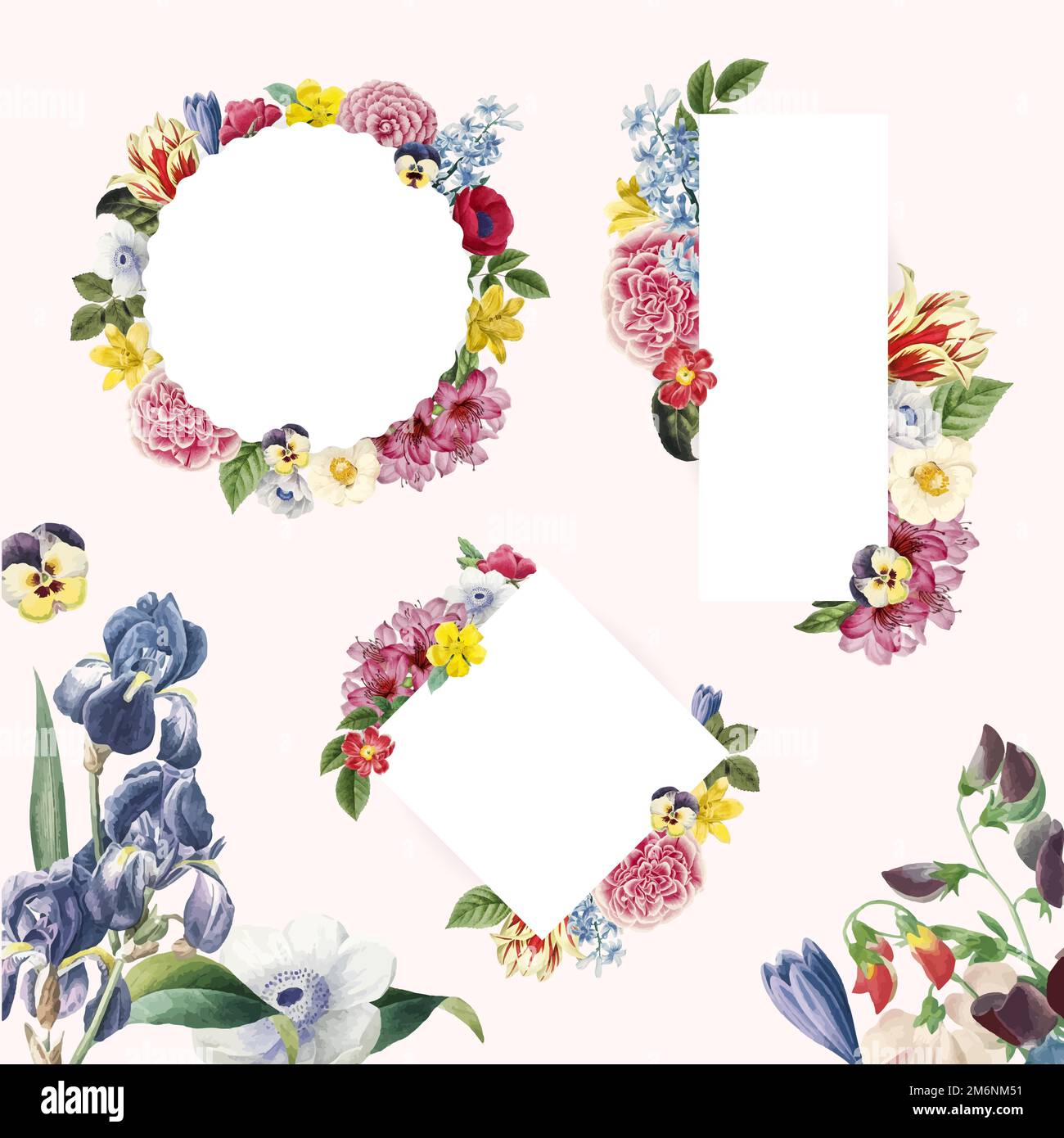 Floral themed copy space frames set Stock Vector Image & Art - Alamy