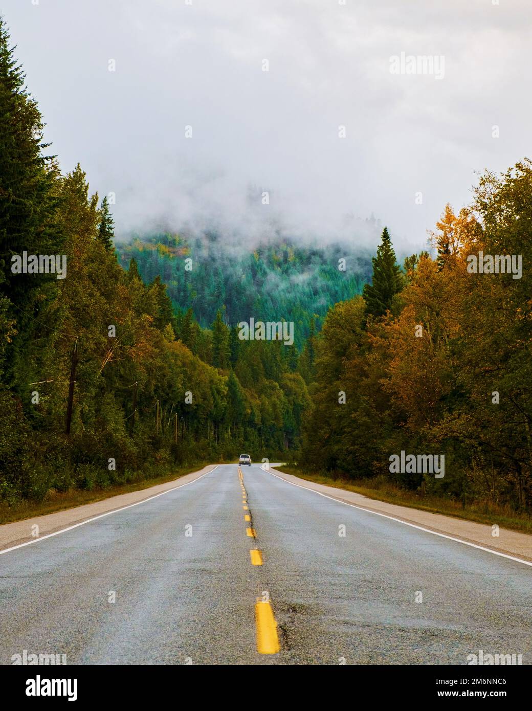 Road with orange autumn trees in Canada BC, beautiful trees during ...