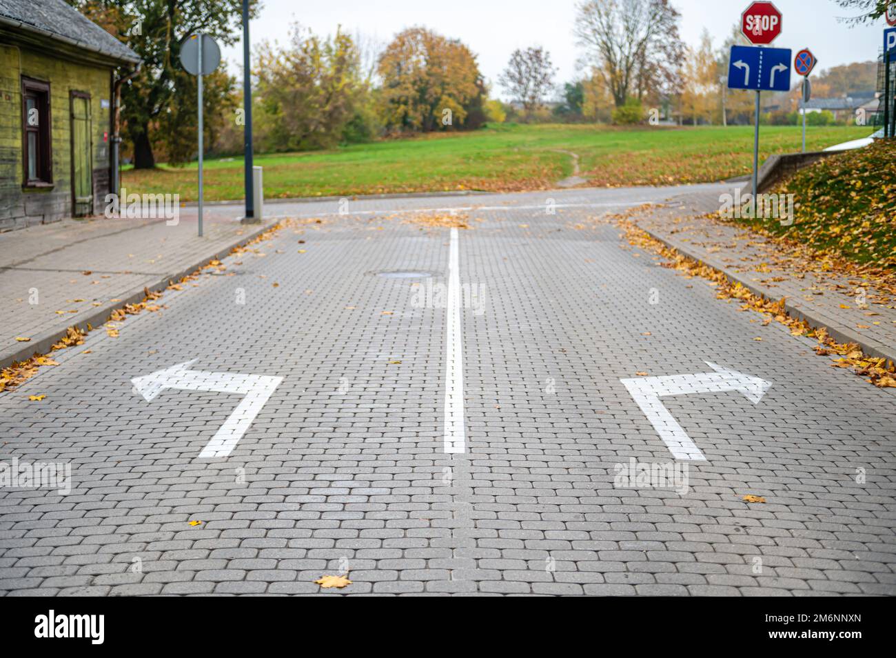 direction arrows on paved road at intersection, choice concept, go left ...