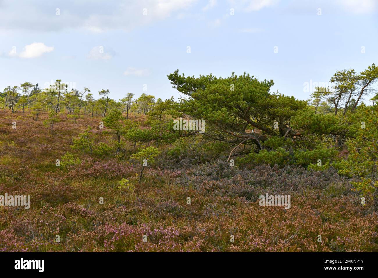 Bavarian rhon biosphere reserve hi-res stock photography and images - Alamy
