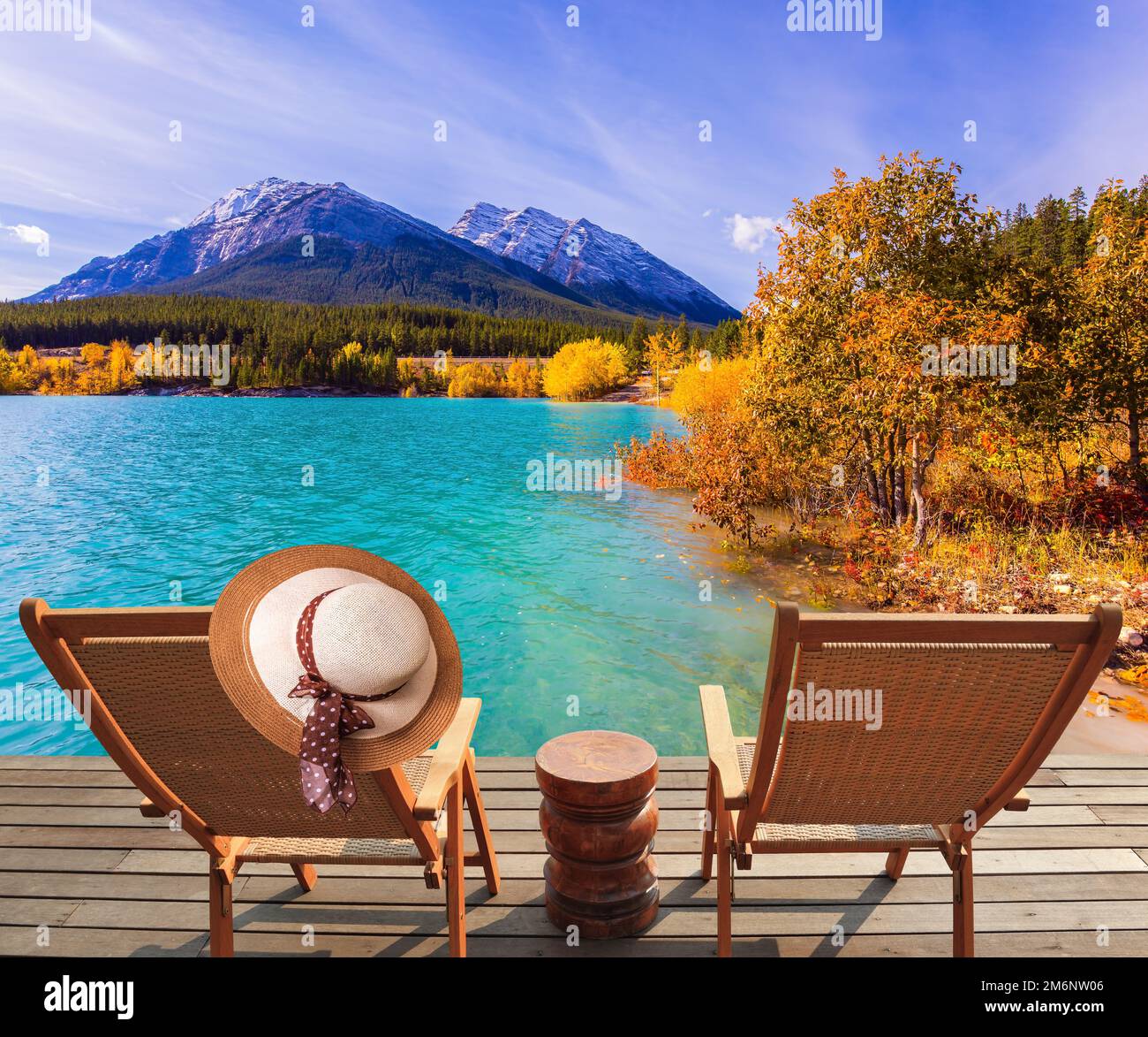 The golden foliage of aspen Stock Photo - Alamy