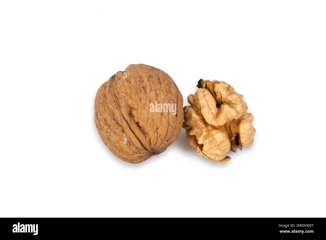 Walnut in shell isolated on white background. Energy boost for the day ...