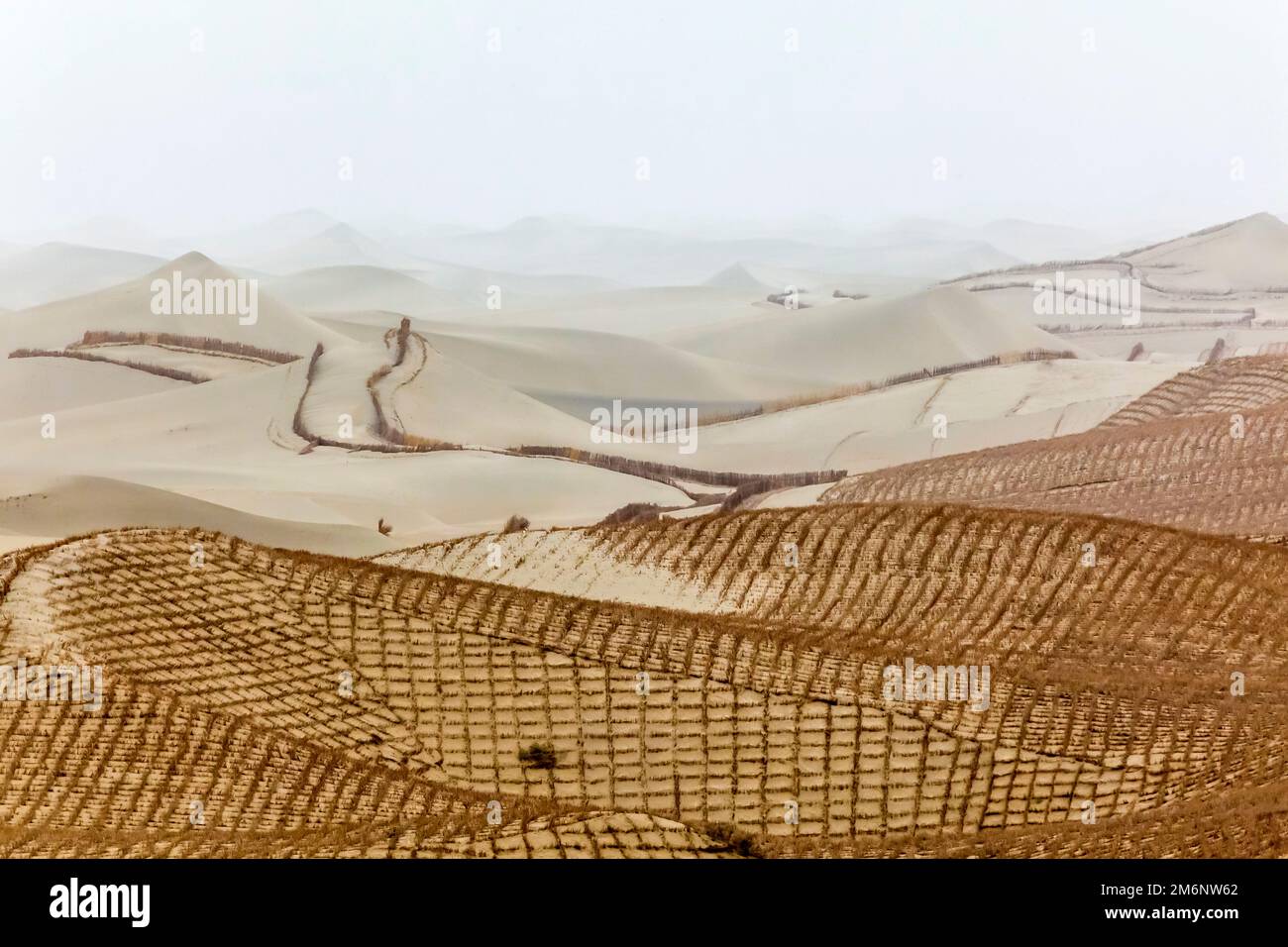 Planted straw to keep Taklamakan desert shifting-sands from moving onto ...