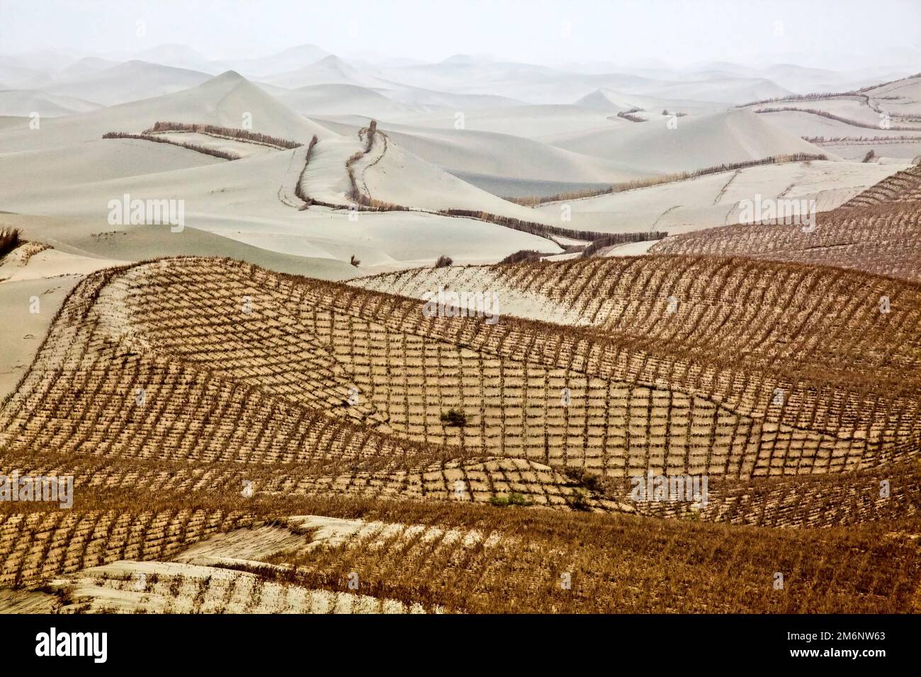 Planted straw to keep Taklamakan desert shifting-sands from moving onto ...