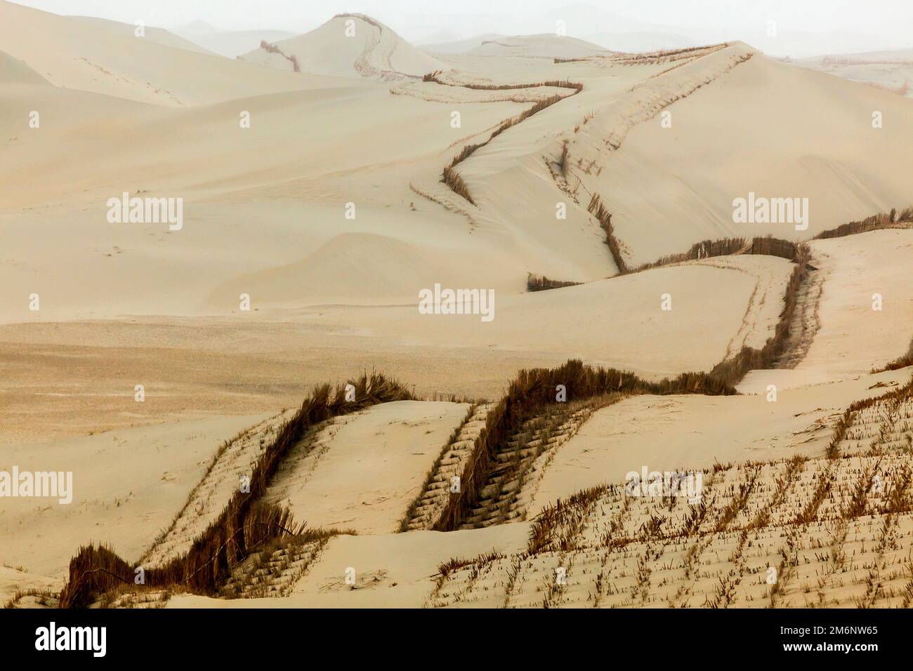 Planted straw to keep Taklamakan desert shifting-sands from moving onto ...