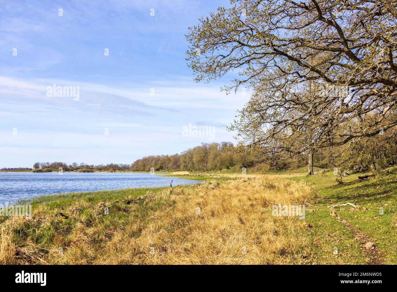 Lakeshore greenery hi-res stock photography and images - Alamy