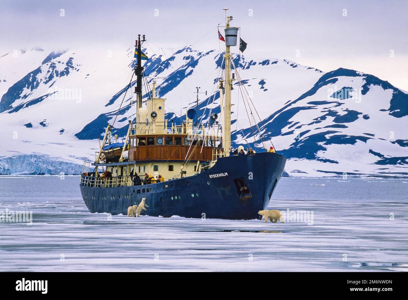 Tourists on a vessel in the ice with Polar Bears around it Stock Photo ...