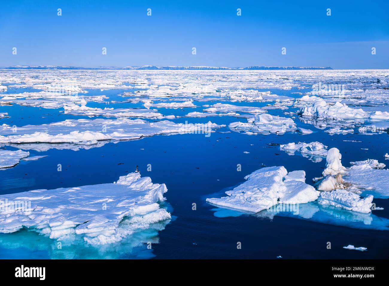 Drift ice in the Arctic ocean outside Svalbard Stock Photo - Alamy