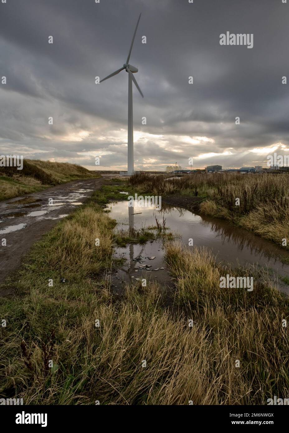 Scotland wind turbine hi-res stock photography and images - Alamy