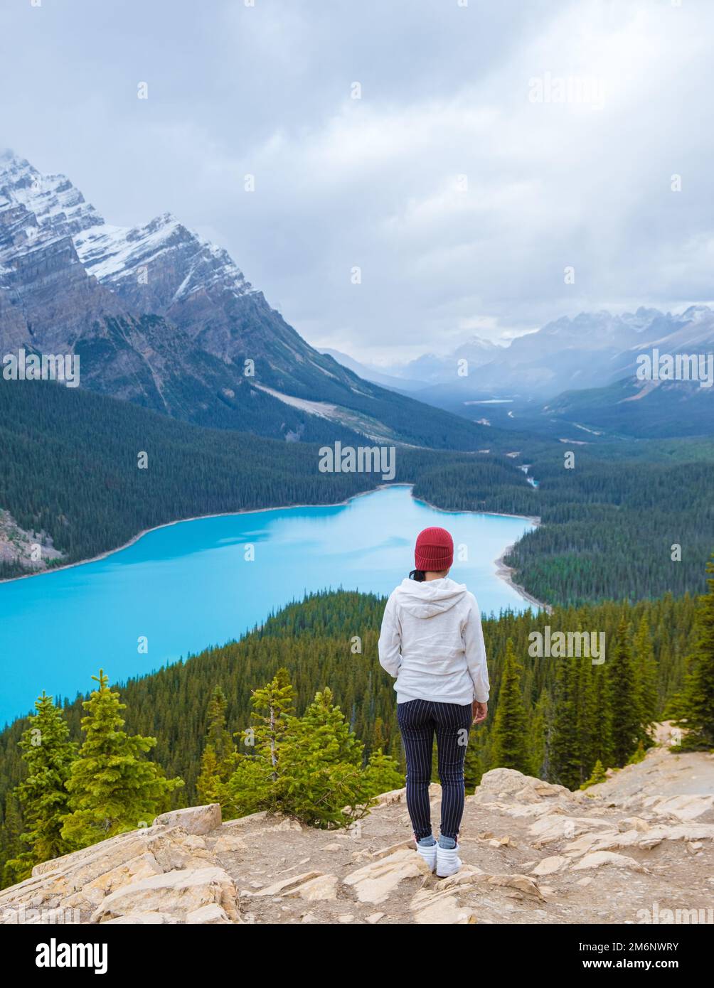 Lake Peyto in Banff National Park, Canada. Mountain Lake as a fox head ...