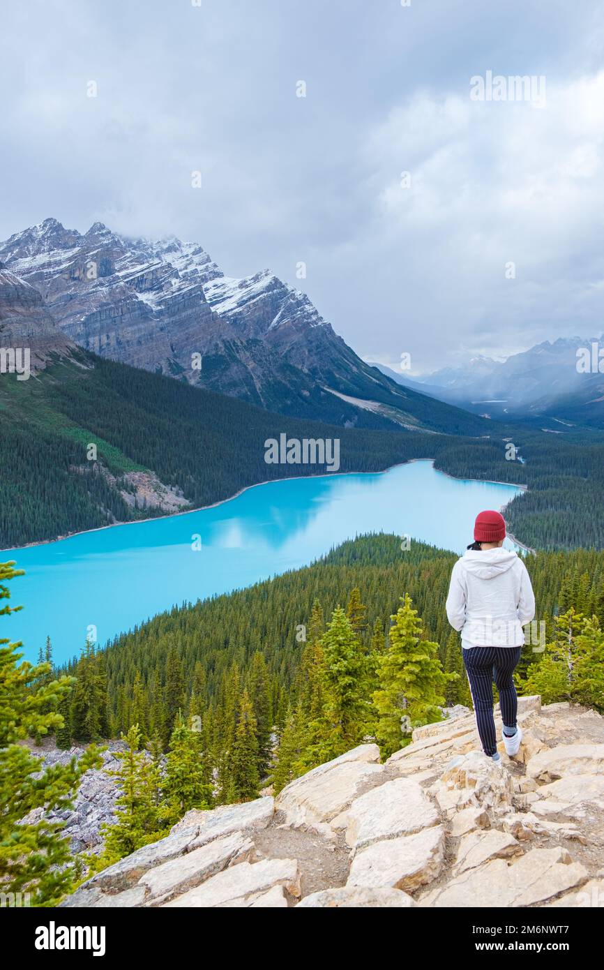 Lake Peyto in Banff National Park, Canada. Mountain Lake as a fox head ...